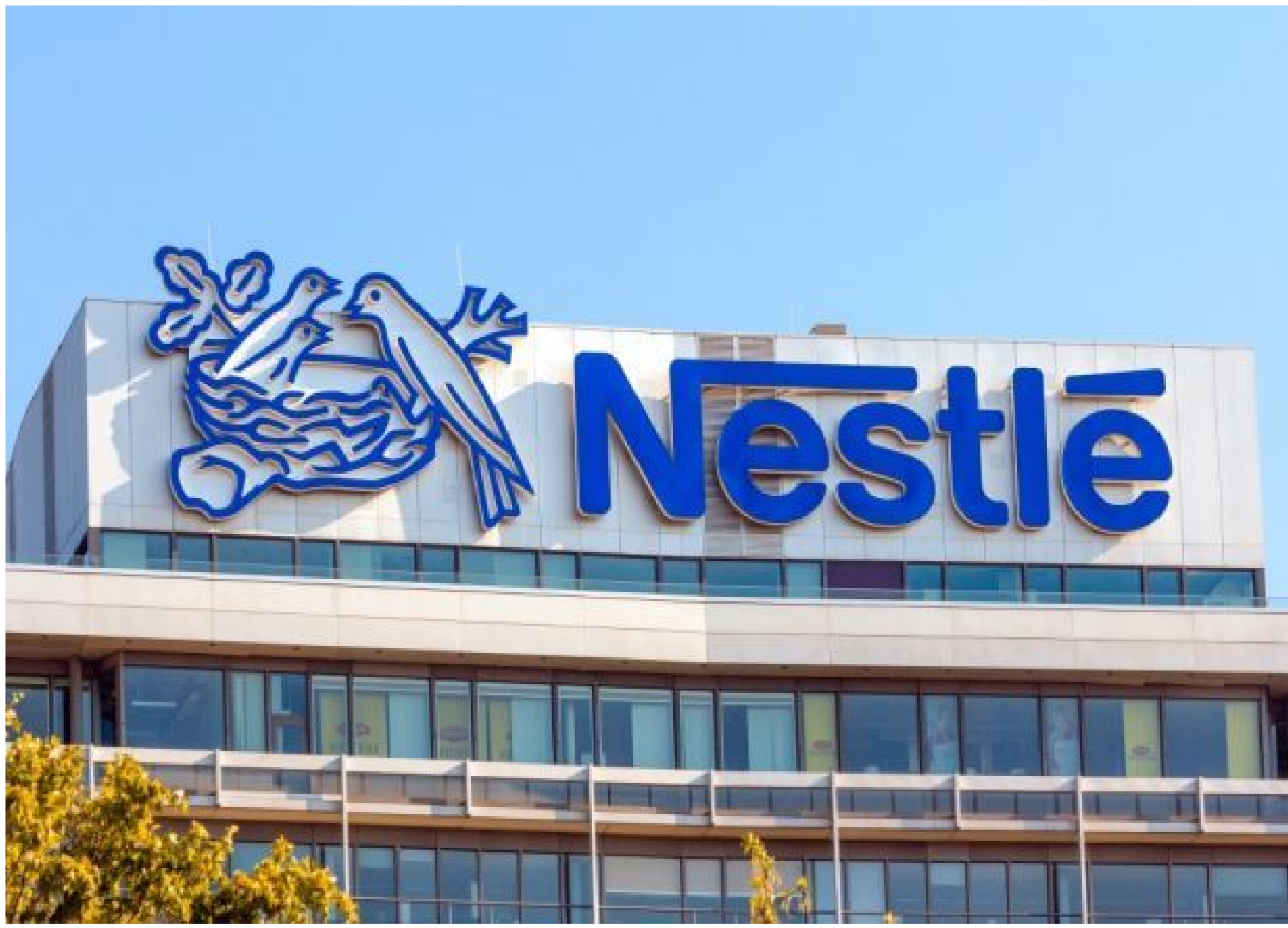 Nestle Nigeria Plc Needs Project Safety, Health & Environment Offi